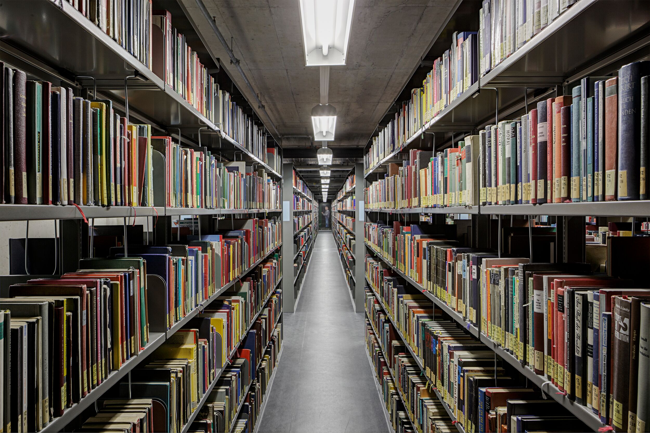 Library fixtures - Zambelli Shelving systems